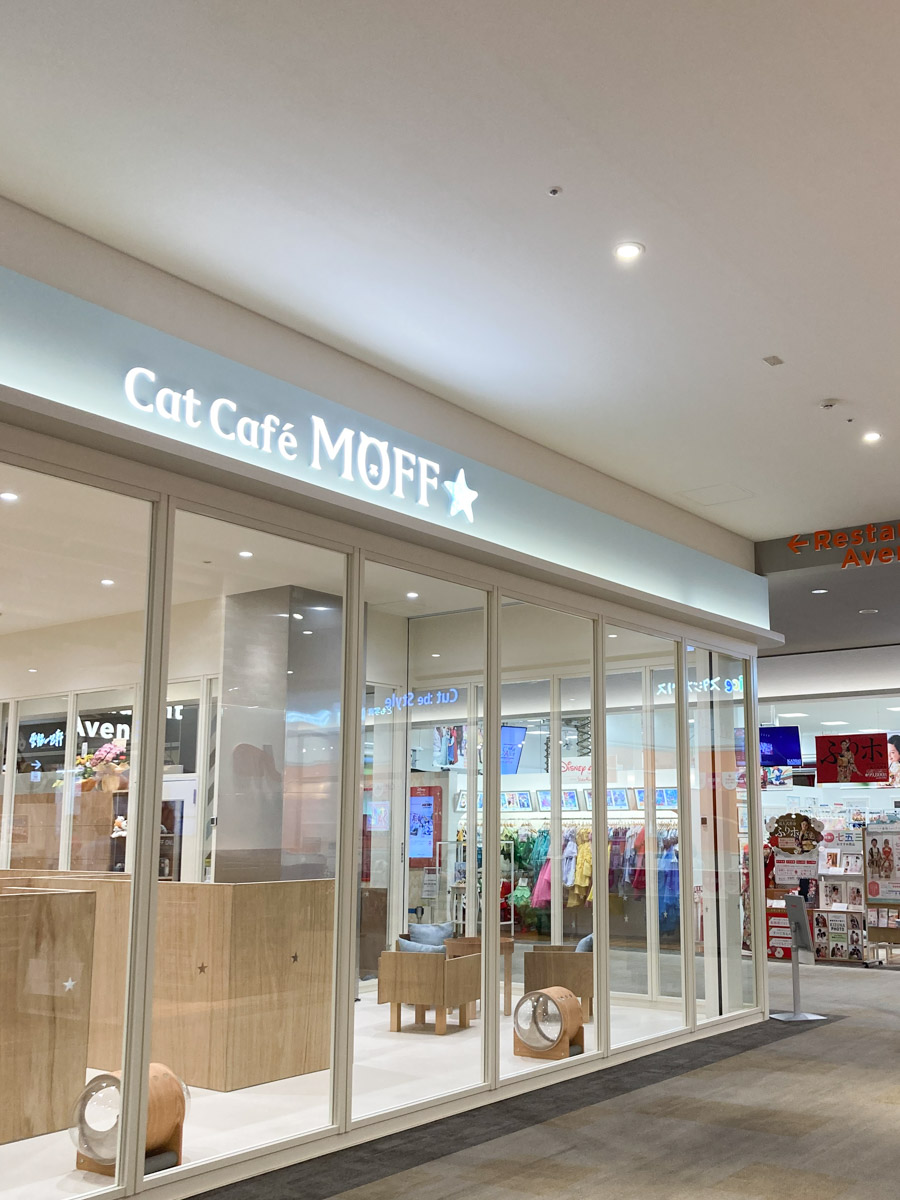 猫カフェ「Cat Café MOFF」がセブンパークアリオ柏3階に4/27（木）オープン - 柏つうしん - 千葉県柏市の地域情報ブログ