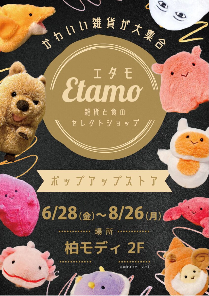 6/28（金）〜8/26（月）柏モディ2階にて「Etamo」が期間限定出店、可愛い雑貨が大集合【2024】 - 柏つうしん - 千葉県柏市の地域情報ブログ